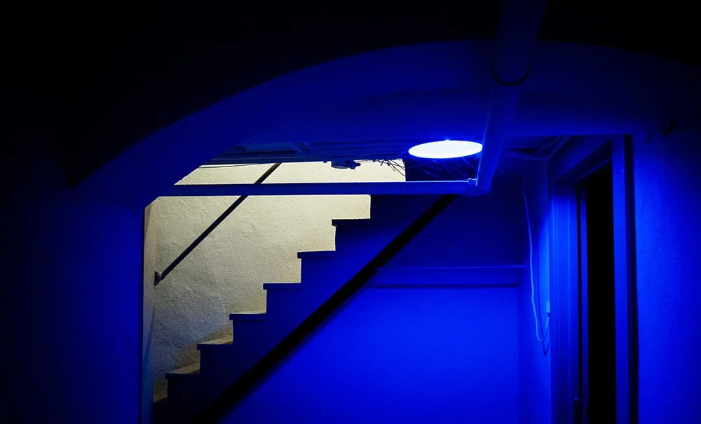 How to Remodel a Dark Basement - Smartland